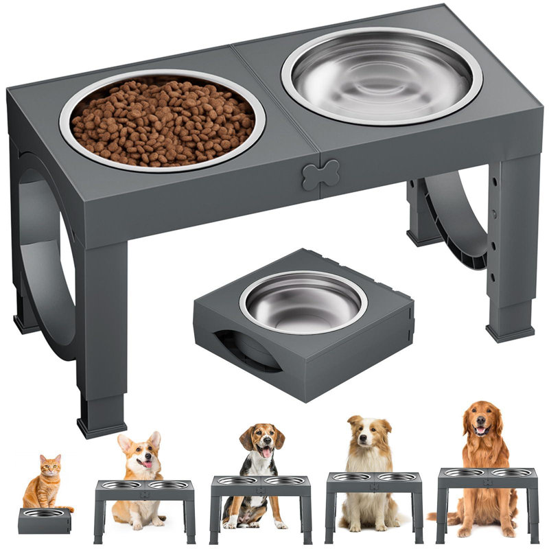 Elevated dog food and water bowls store